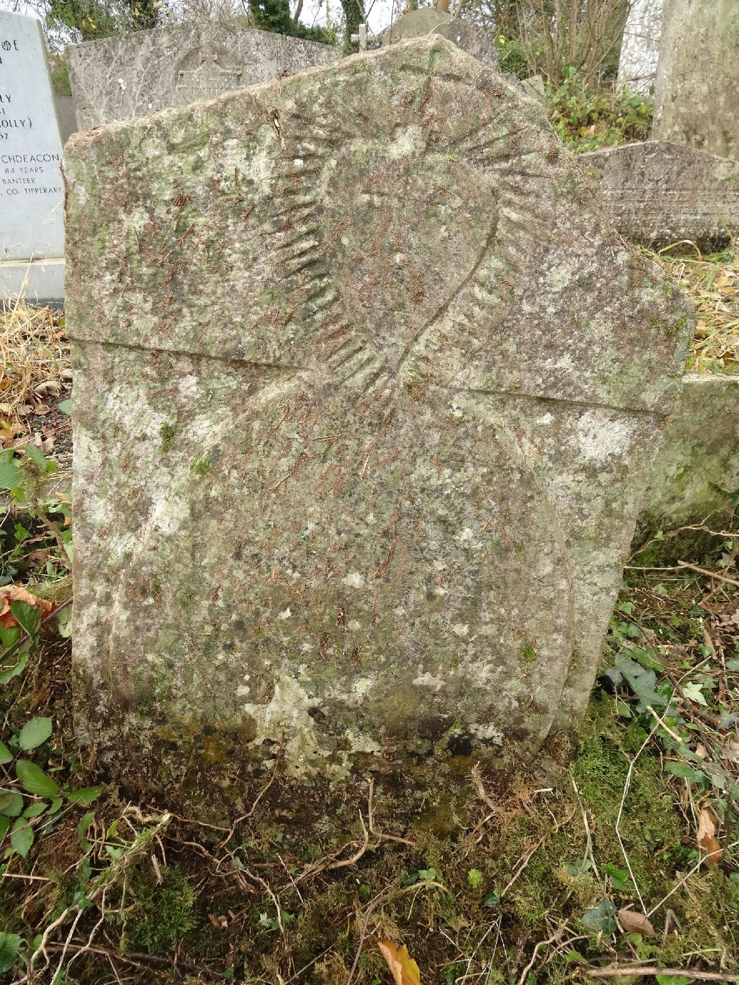 CO-CSMR-0251 | Historic Graves