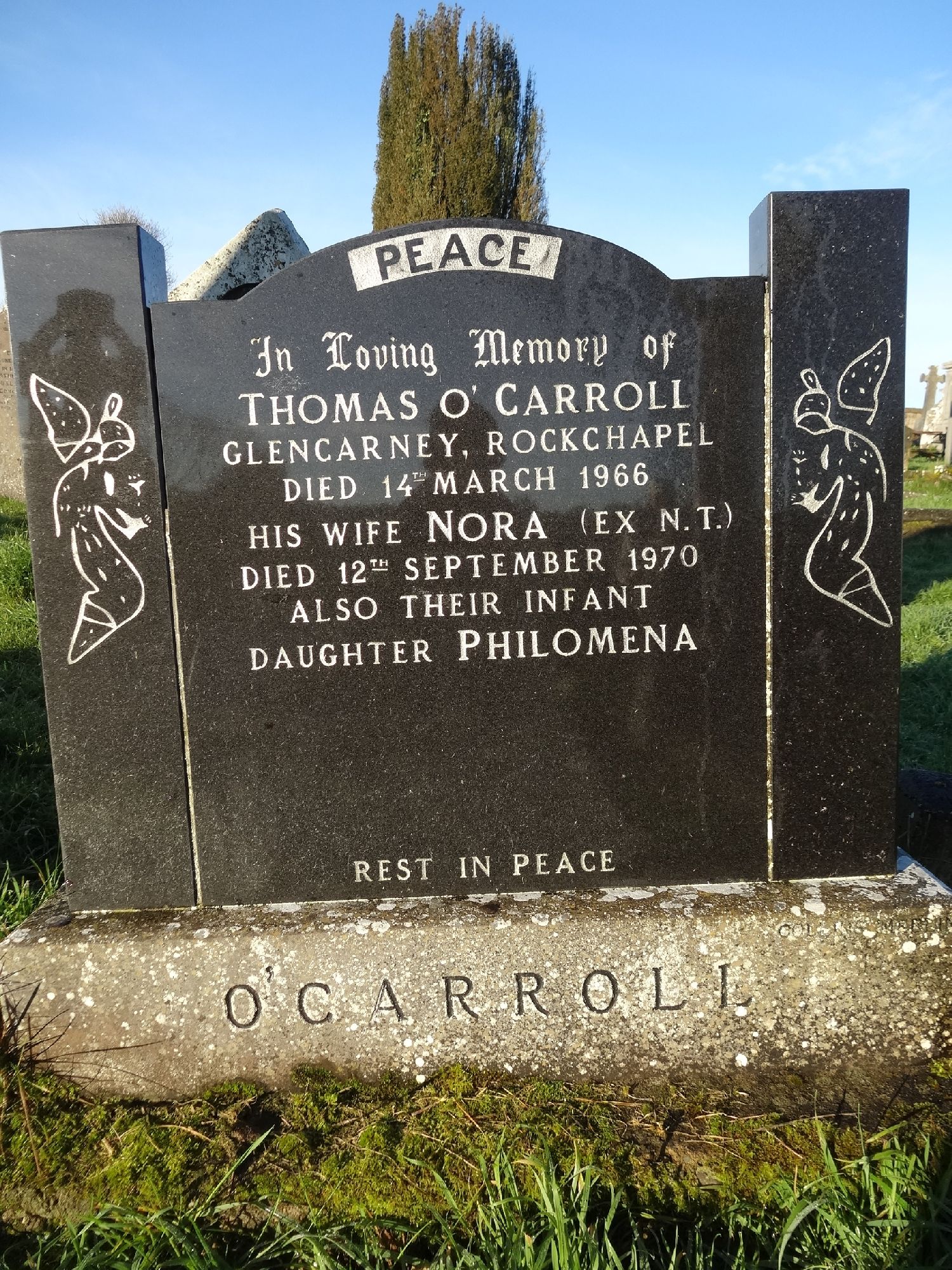 CO-CLFT-0395 | Historic Graves