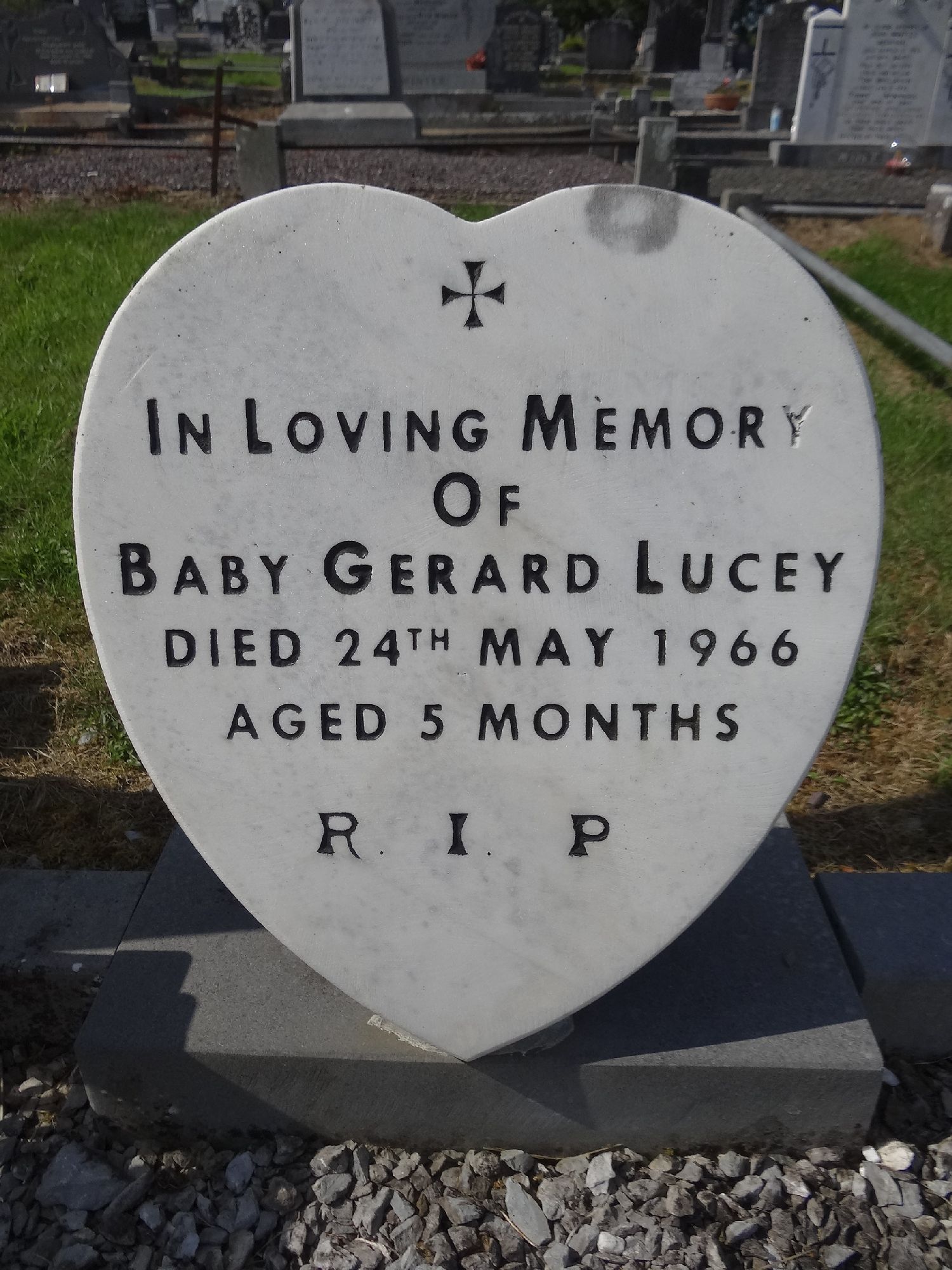 CO-CLFT-0815 | Historic Graves