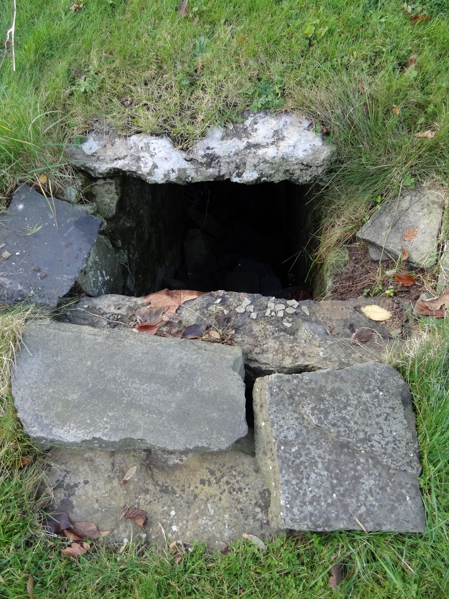 LI-SMCT-029 | Historic Graves