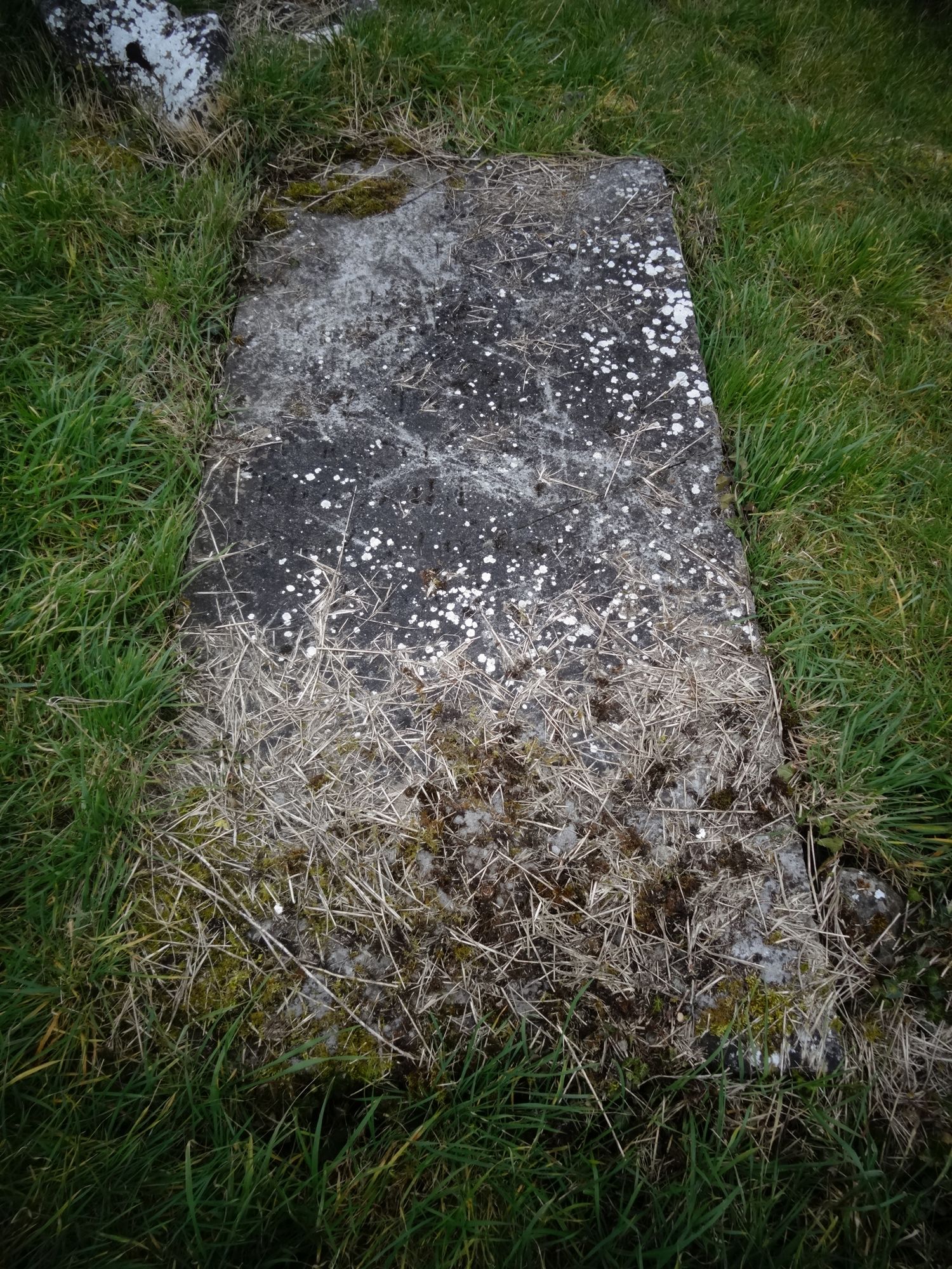 LI-CRCA-0517 | Historic Graves