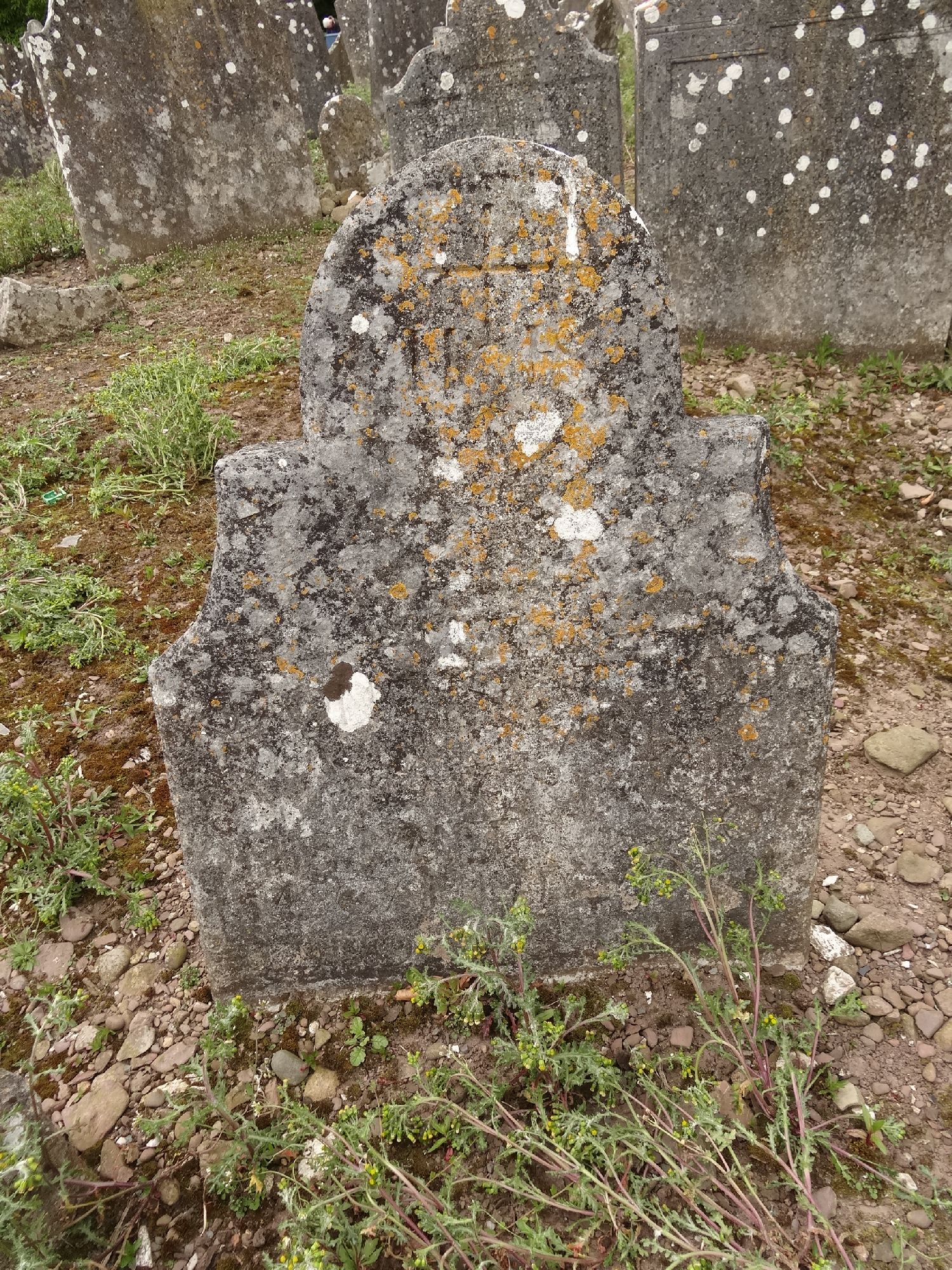 CO-KLGH-0257 | Historic Graves