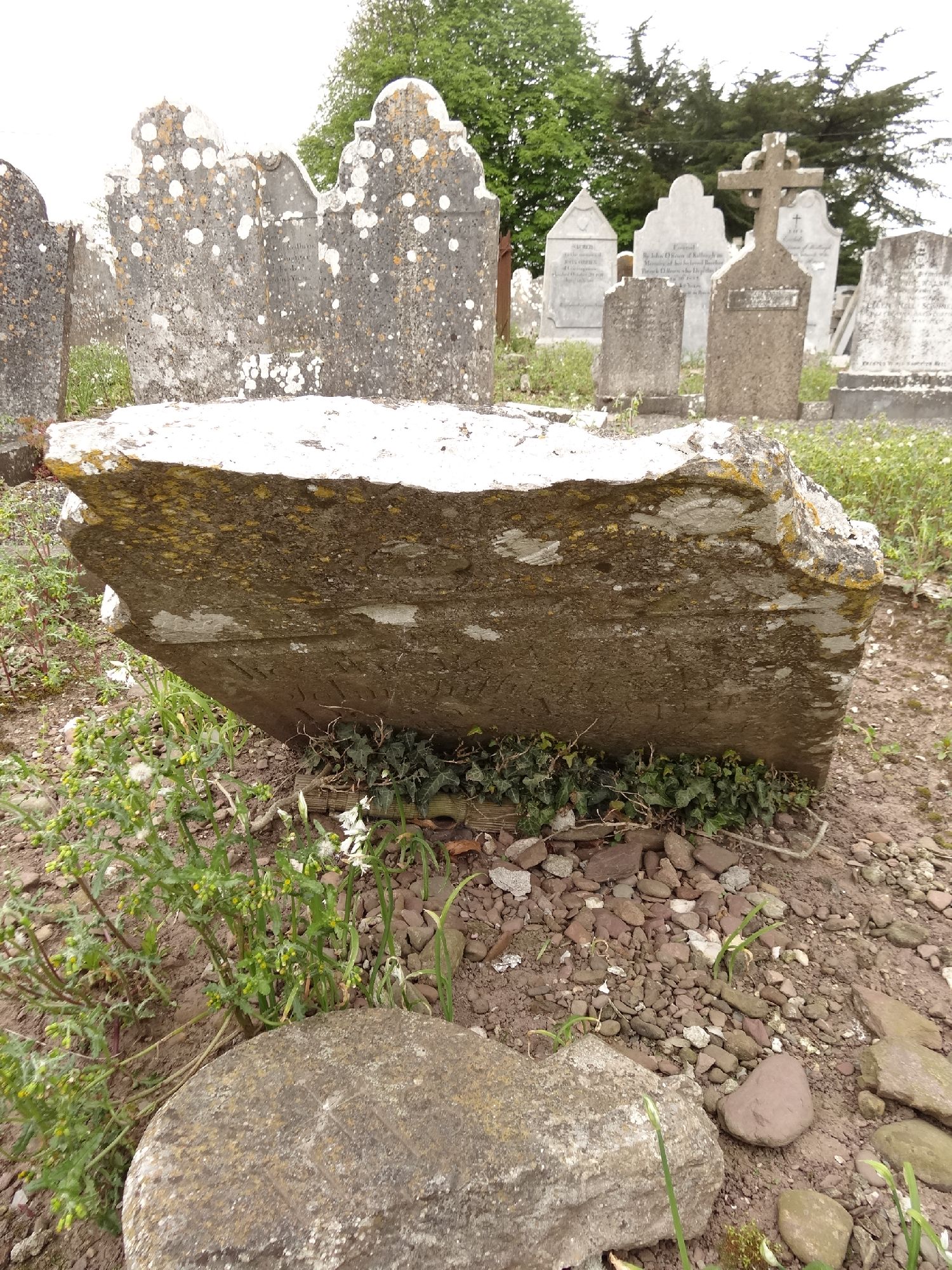 CO-KLGH-0280 | Historic Graves