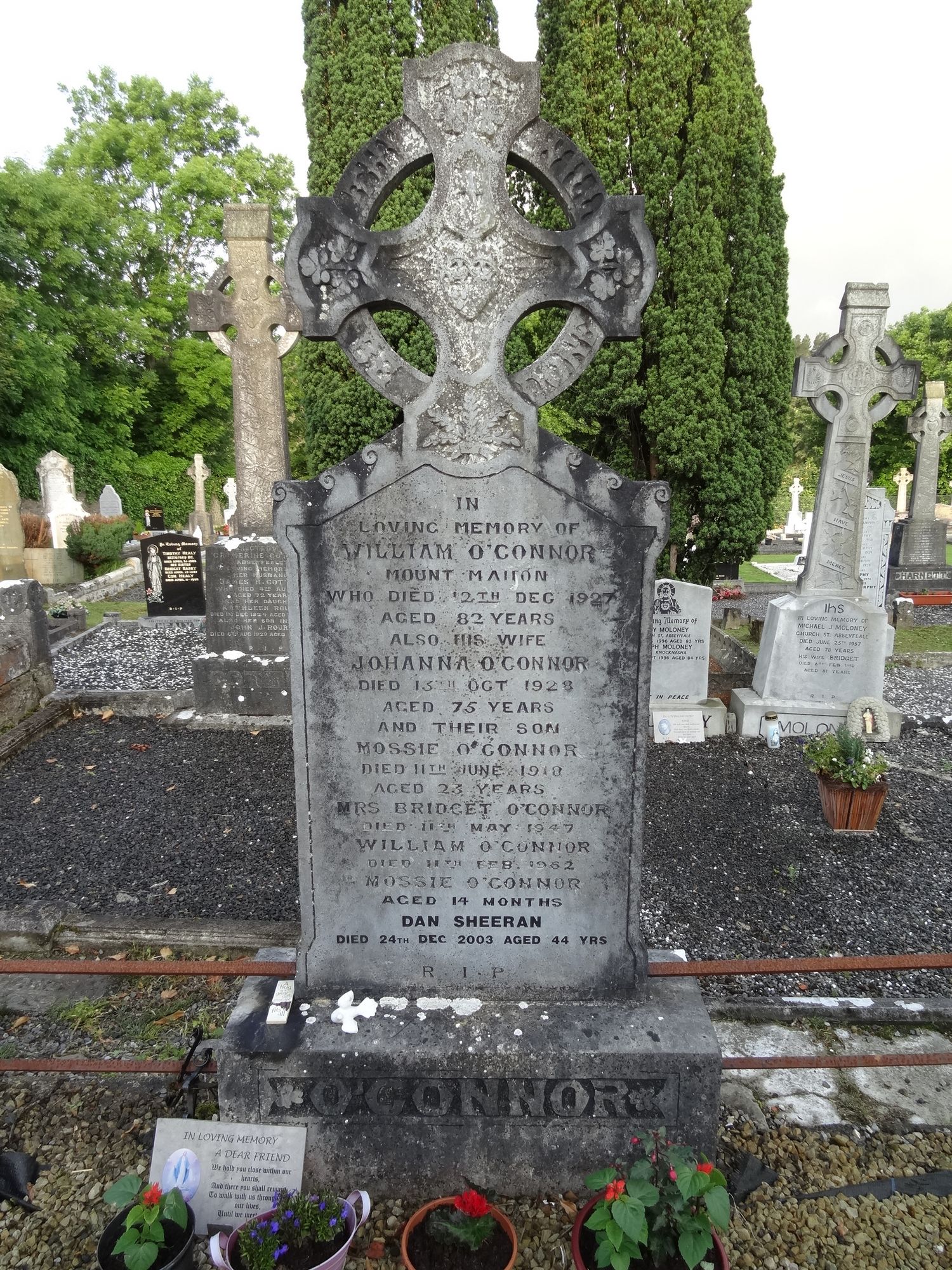 LI-SMCA-0301 | Historic Graves