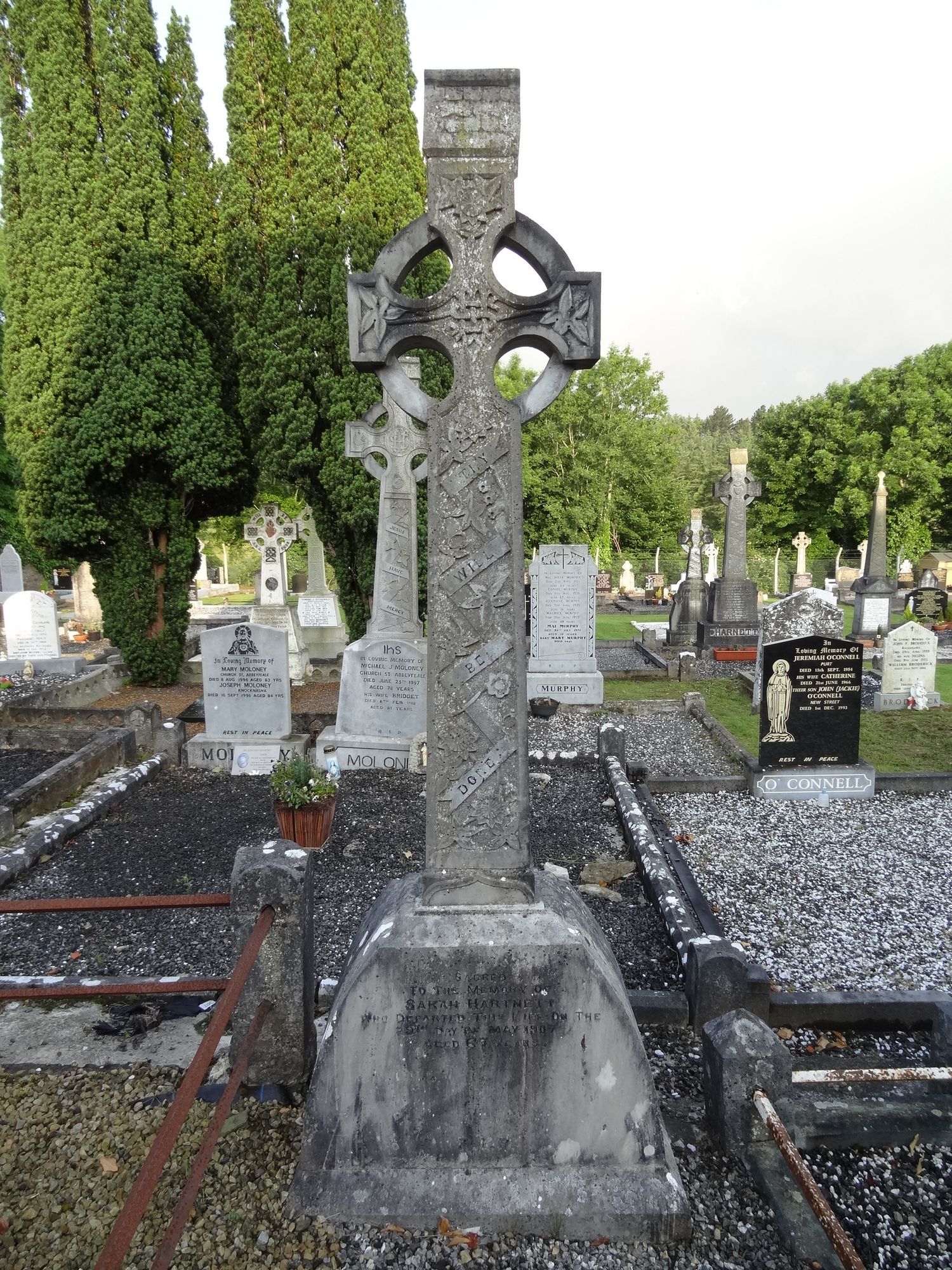 LI-SMCA-0302 | Historic Graves