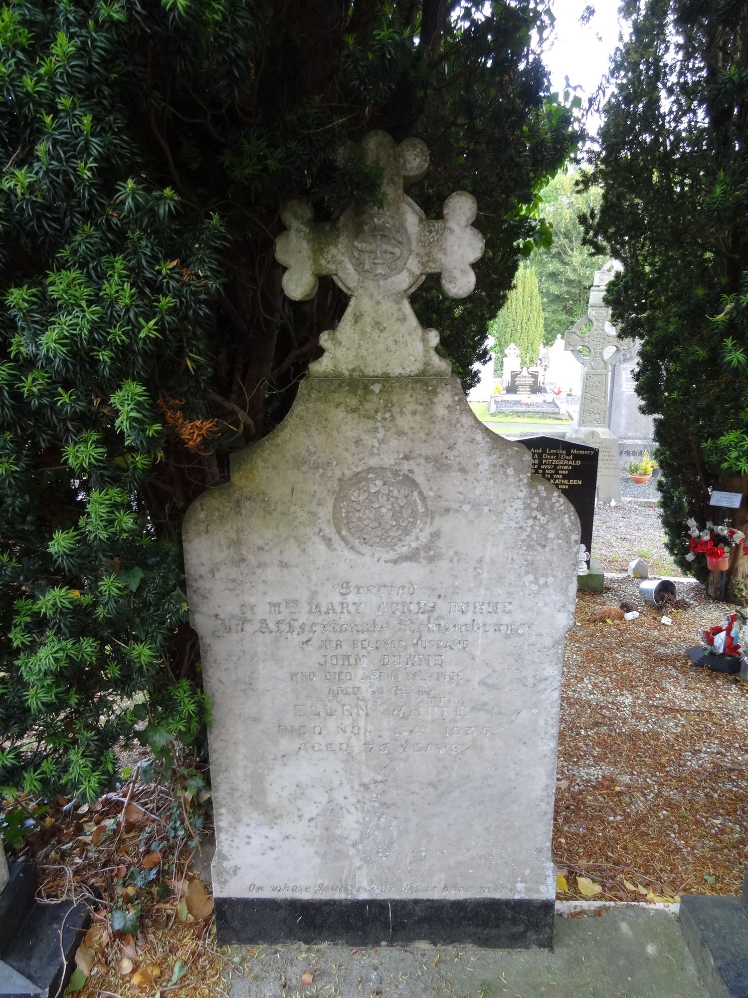 LI-SMCA-0311 | Historic Graves