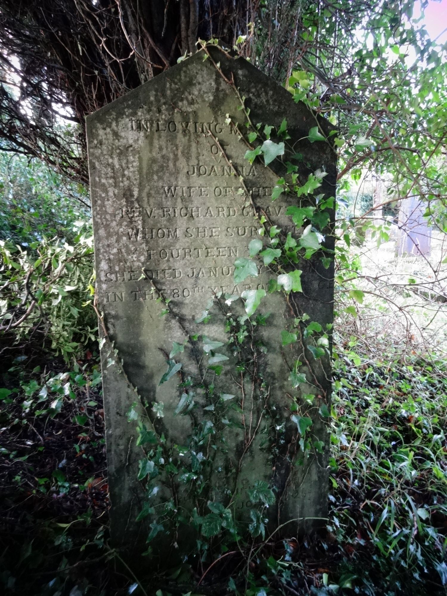 TN-KBKB-0026 | Historic Graves