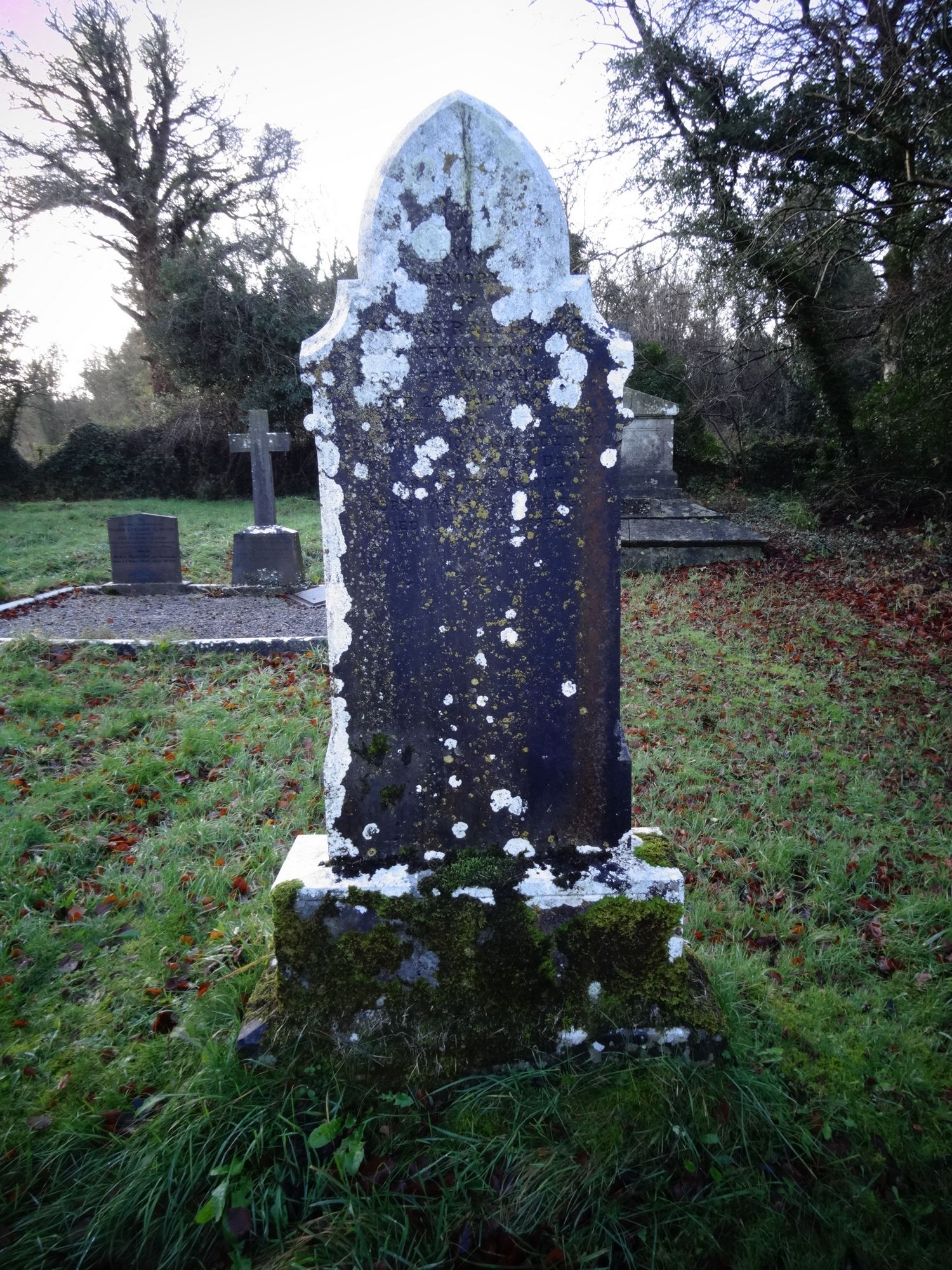 TN-KBKB-0031 | Historic Graves