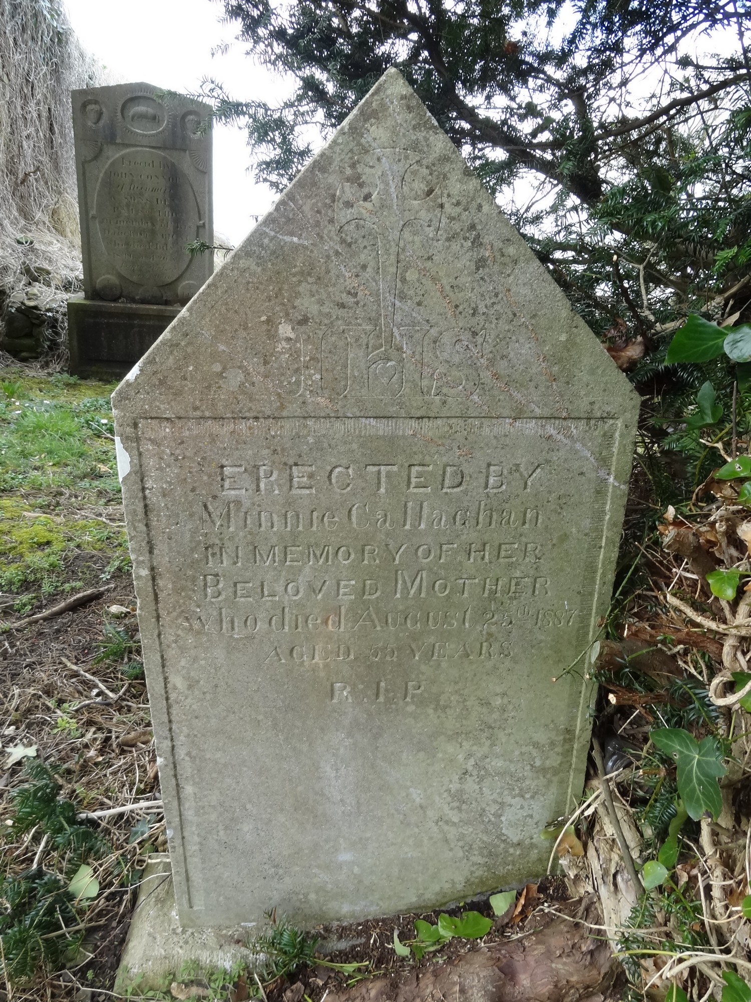 CO-OLDT-0138 | Historic Graves