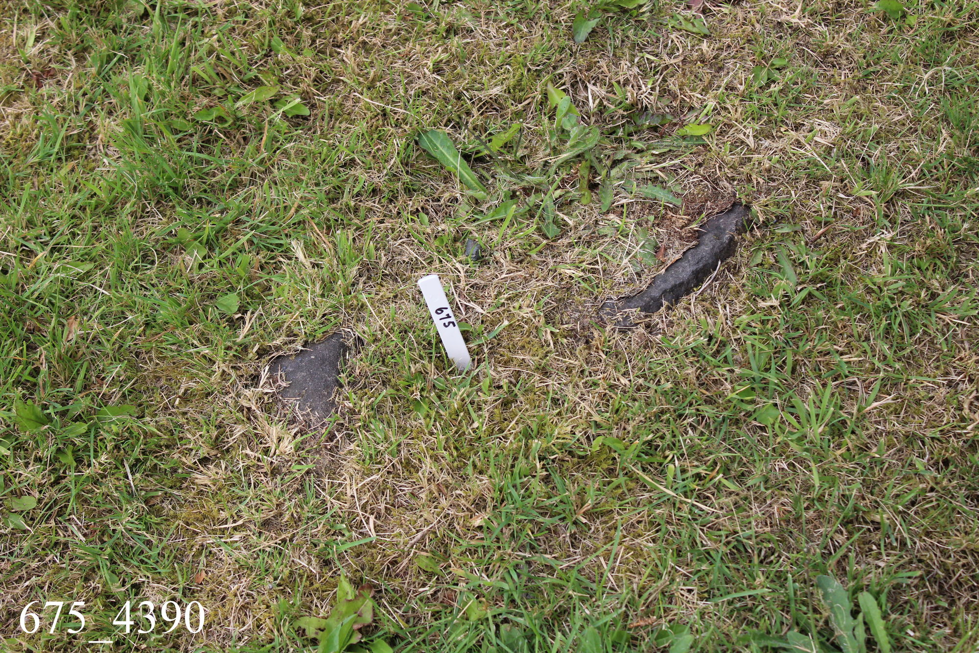 CV-DRGN-0675 | Historic Graves