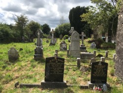 CO-MOVI-0089 | Historic Graves