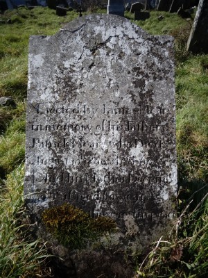 LI-CRCA-0852 | Historic Graves